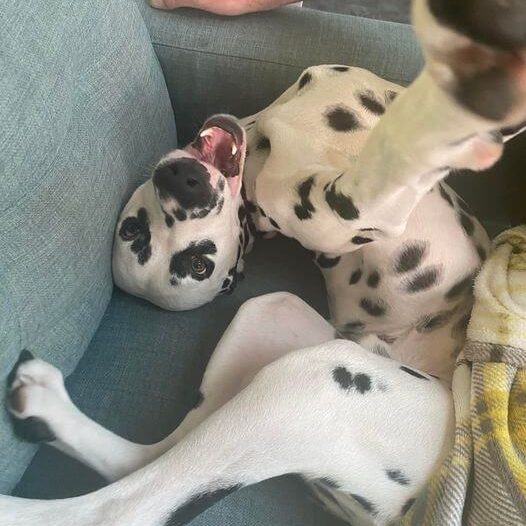 About Us - Kenny Solicitors